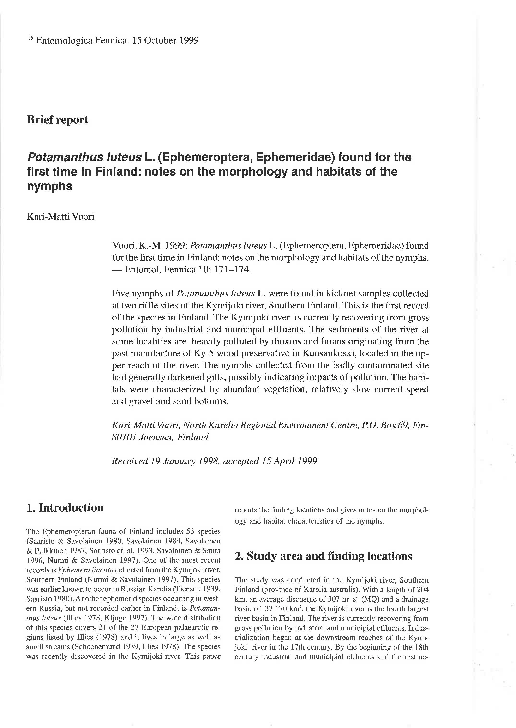 (PDF) Potamanthus luteus L. (Ephemeroptera, Ephemeridae) found for the ...