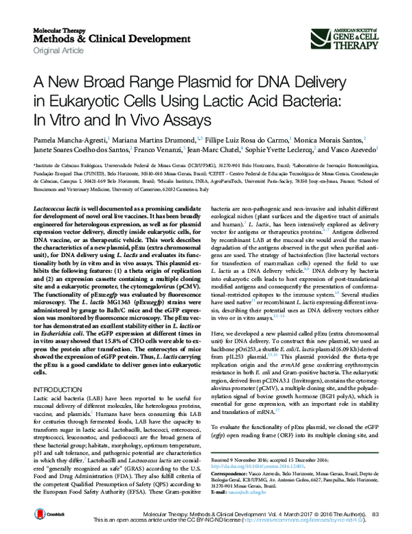 (PDF) A New Broad Range plasmid for DNA Delivery in Eukaryotic Cells ...