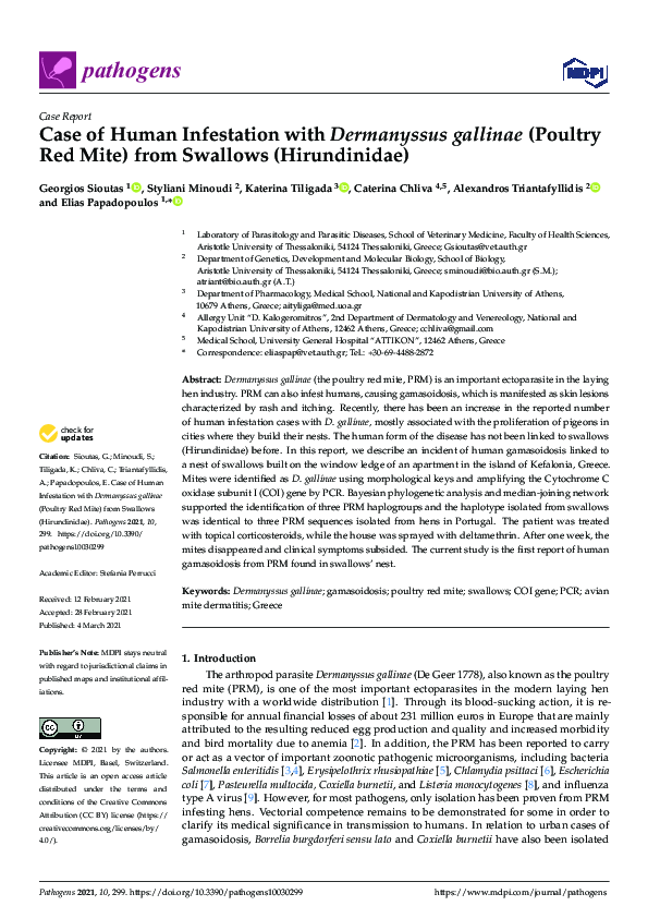 (PDF) Case of Human Infestation with Dermanyssus gallinae (Poultry Red ...