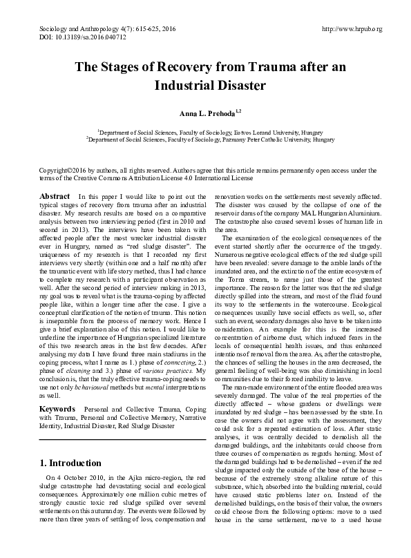 (PDF) The Stages of Recovery from Trauma after an Industrial Disaster