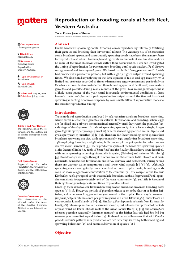 (PDF) Reproduction of brooding corals at Scott Reef, Western Australia