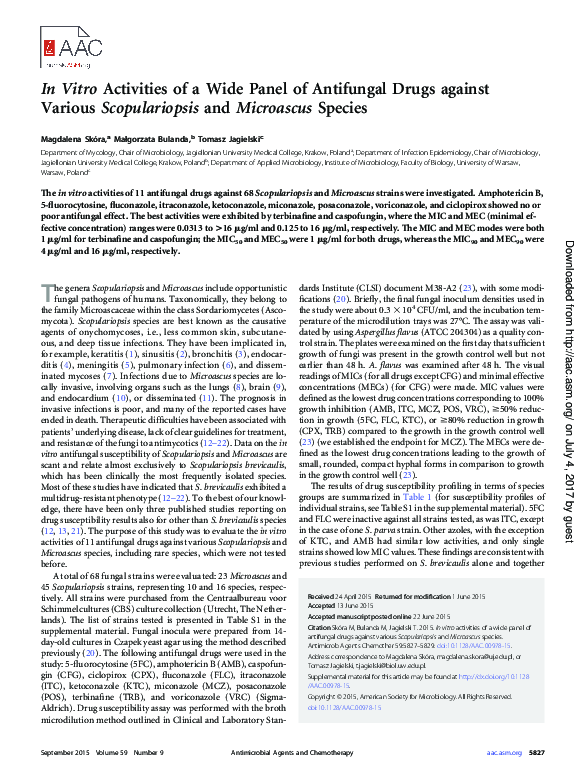 (PDF) In vitro activities of a wide panel of antifungal drugs against ...