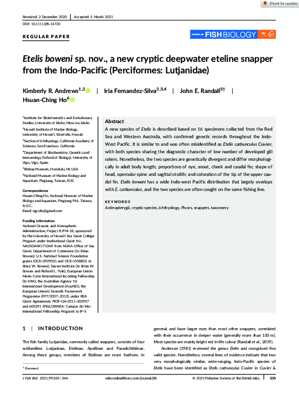 (PDF) Etelis boweni sp. nov., a new cryptic deepwater eteline snapper ...