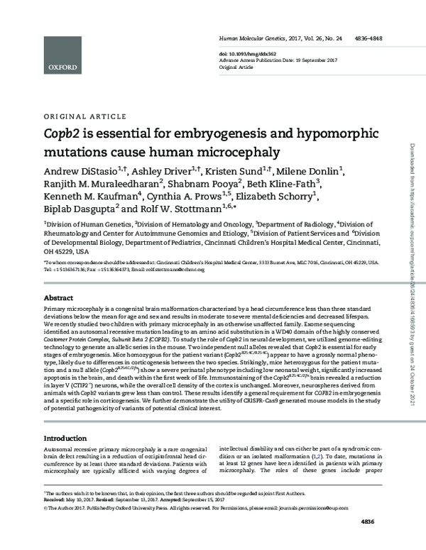 (PDF) Copb2 is essential for embryogenesis and hypomorphic mutations cause human microcephaly