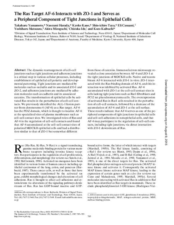 (PDF) The Ras Target AF6 Interacts with ZO-1 and Serves as a Peripheral ...