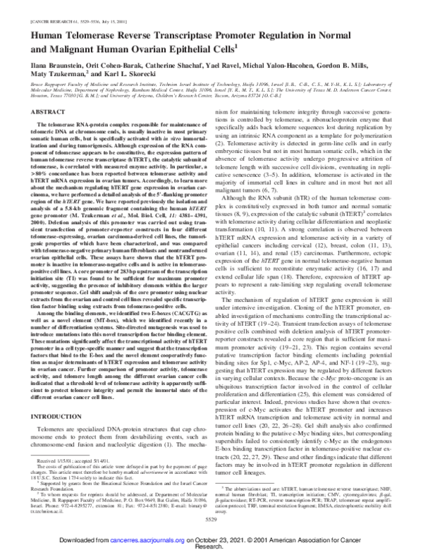 (PDF) Human Telomerase Reverse Transcriptase Promoter Regulation in ...