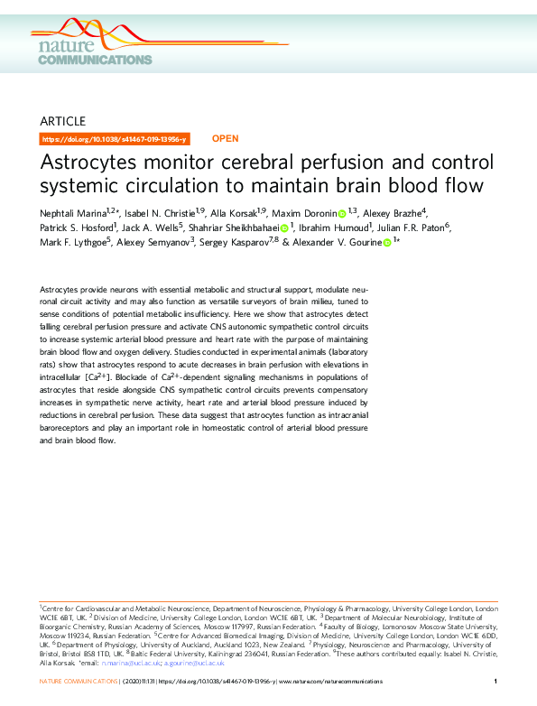 (PDF) Astrocytes monitor cerebral perfusion and control systemic ...