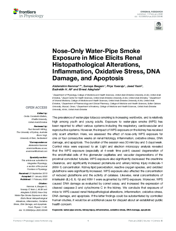 (PDF) Nose-Only Water-Pipe Smoke Exposure in Mice Elicits Renal ...