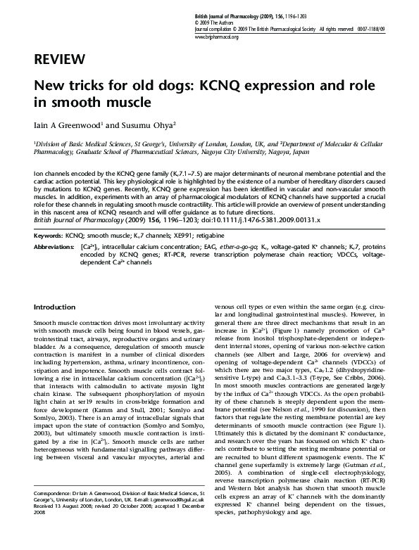 (PDF) New tricks for old dogs: KCNQ expression and role in smooth muscle