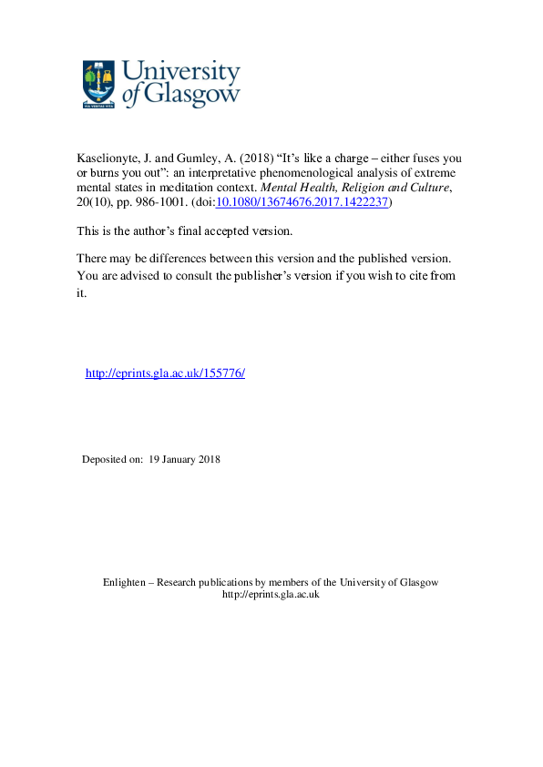 (PDF) “It’s like a charge – either fuses you or burns you out”: an ...