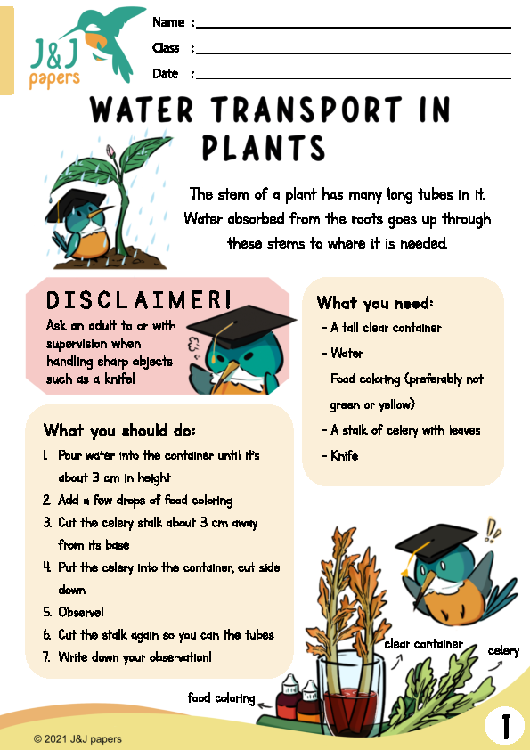 (PDF) Water Transport (Coloured ver.)