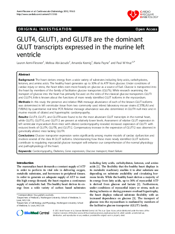 (PDF) GLUT4, GLUT1, and GLUT8 are the dominant GLUT transcripts ...