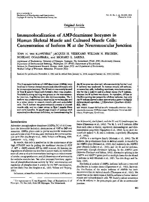 (PDF) Immunolocalization of AMP-deaminase isozymes in human skeletal ...