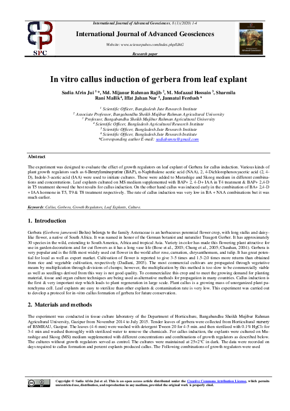 (PDF) In vitro callus induction of gerbera from leaf explant