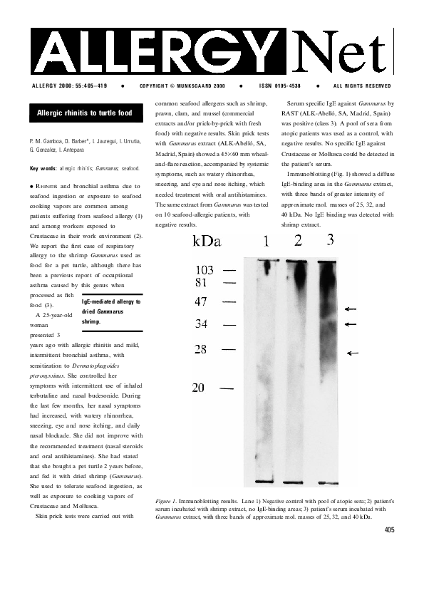 (PDF) Allergic rhinitis to turtle food