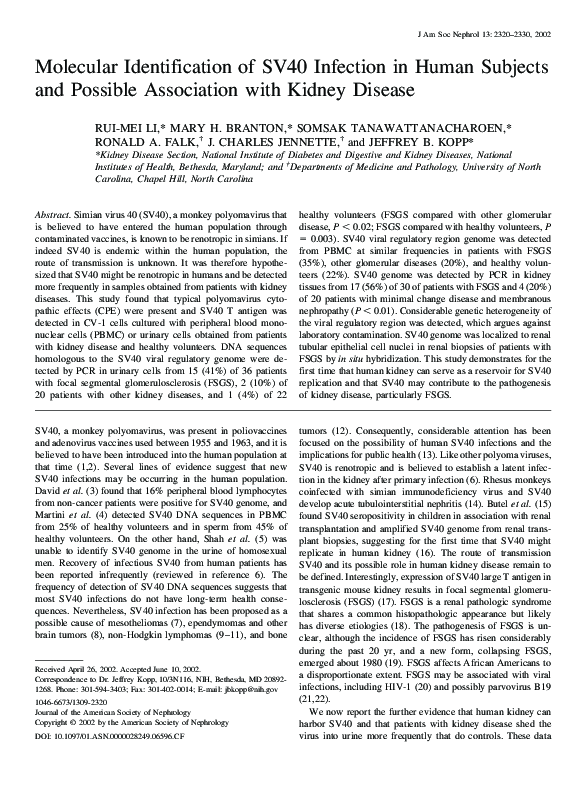 (PDF) Molecular Identification of SV40 Infection in Human Subjects and ...