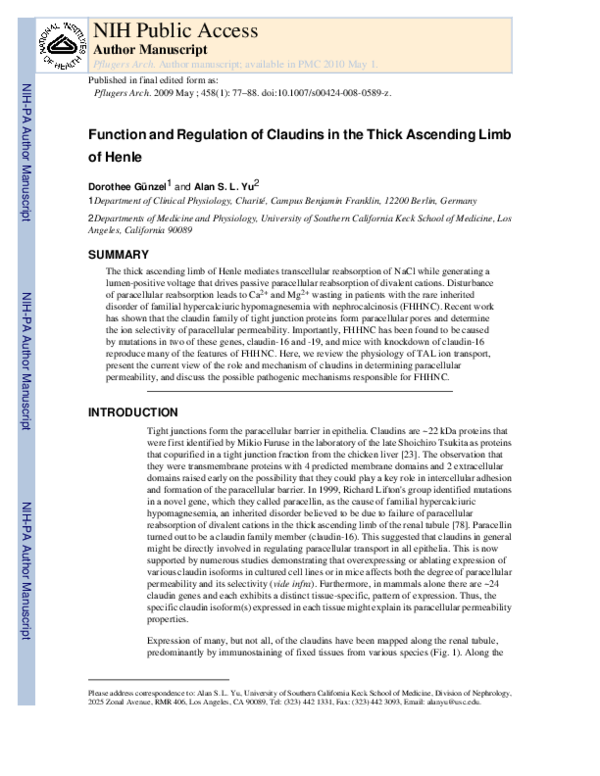 (PDF) Function and regulation of claudins in the thick ascending limb of Henle
