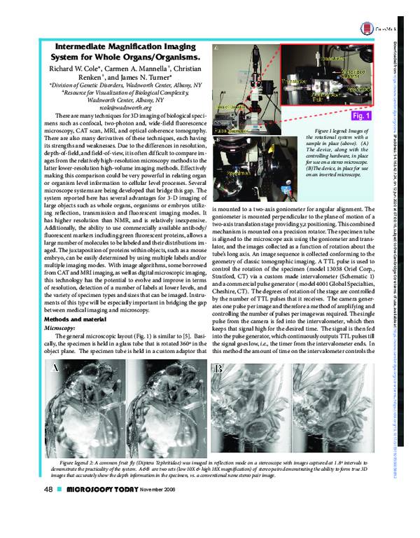 (PDF) Intermediate Magnification Imaging System for Whole Organs/Organisms