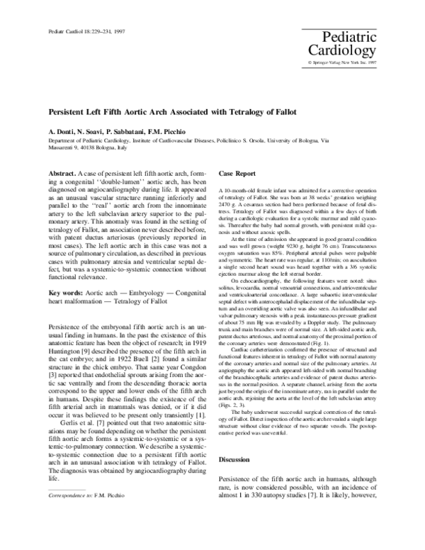 (PDF) Persistent Left Fifth Aortic Arch Associated with Tetralogy of Fallot