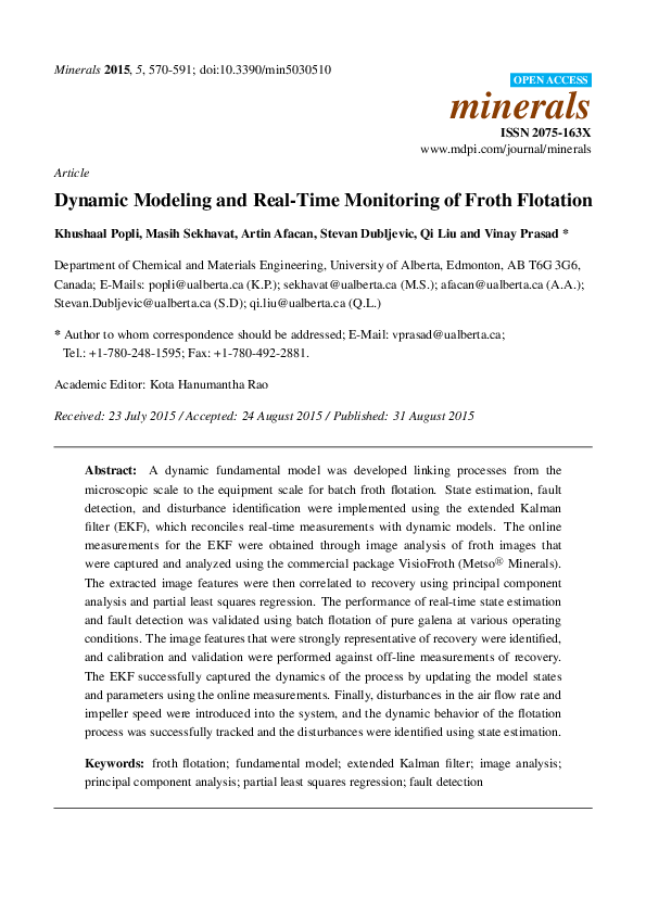 (PDF) Dynamic Modeling and Real-Time Monitoring of Froth Flotation
