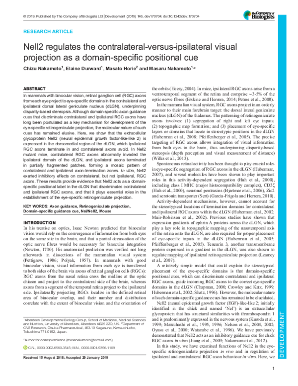 (PDF) Nell2 regulates the contralateral-versus-ipsilateral visual ...