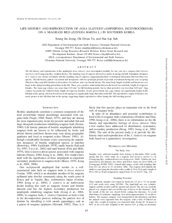 (PDF) Life History and Reproduction of Jassa Slatteryi (Amphipoda ...