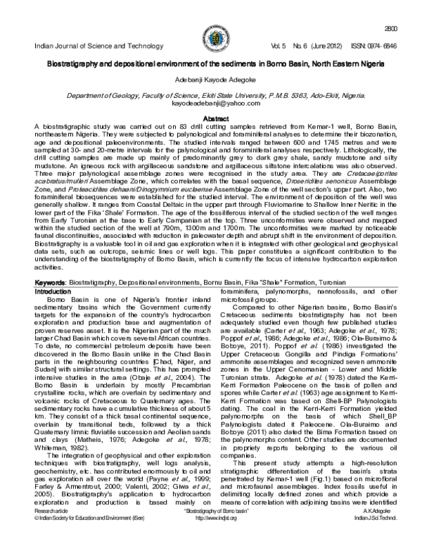 (PDF) Biostratigraphy and Depositional Environment of the Sediments in ...