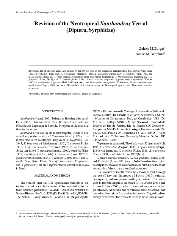 (PDF) Revision of the Neotropical Xanthandrus Verral (Diptera, Syrphidae)