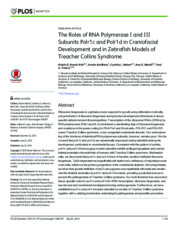 (PDF) RNA Polymerase Subunits in Craniofacial Growth