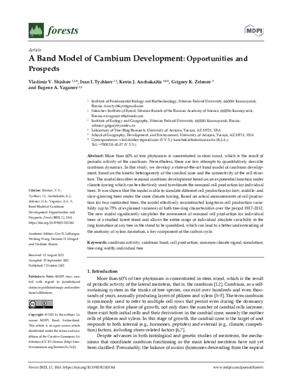 (PDF) A Band Model of Cambium Development: Opportunities and Prospects