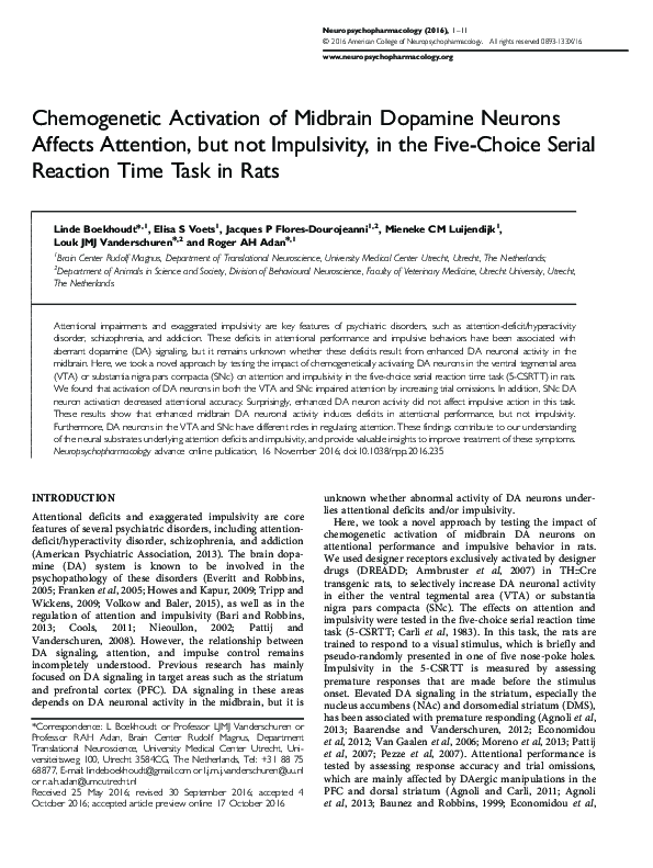 (PDF) Chemogenetic Activation of Midbrain Dopamine Neurons Affects ...