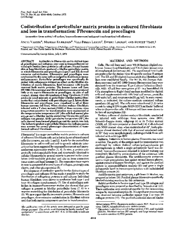 (PDF) Codistribution of pericellular matrix proteins in cultured ...