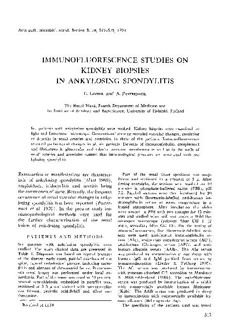 (PDF) Immunofluorescence studies on kidney biopsies in ankylosing spondylitis