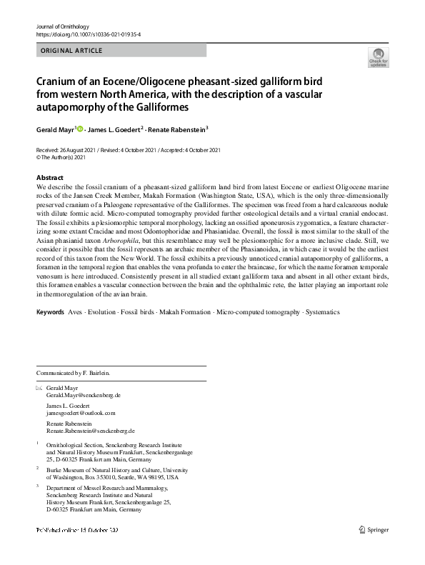 (PDF) Cranium of an Eocene/Oligocene pheasant-sized galliform bird from ...