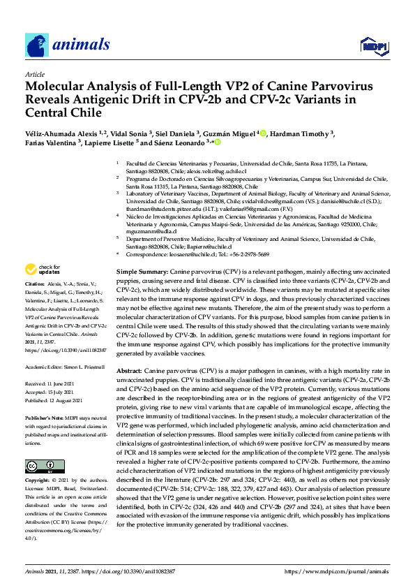 (PDF) Molecular Analysis of Full-Length VP2 of Canine Parvovirus ...