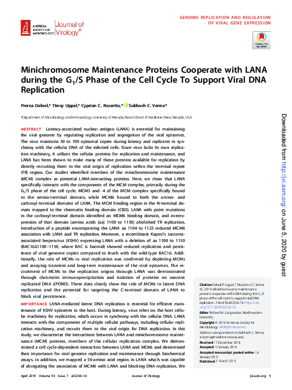 (PDF) Mini-chromosome Maintenance Proteins Cooperate with LANA During ...