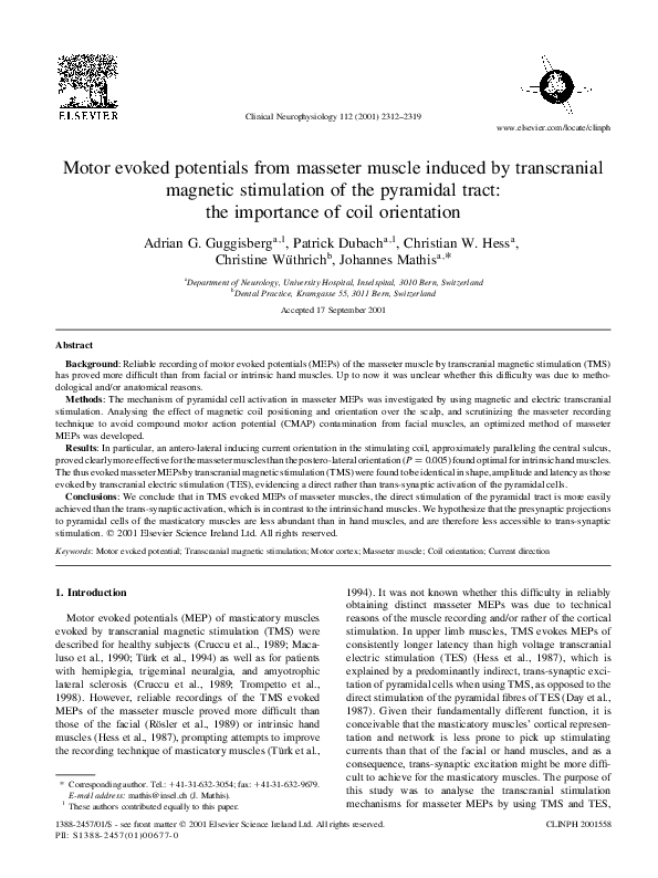 (PDF) Motor evoked potentials from masseter muscle induced by transcranial magnetic stimulation ...