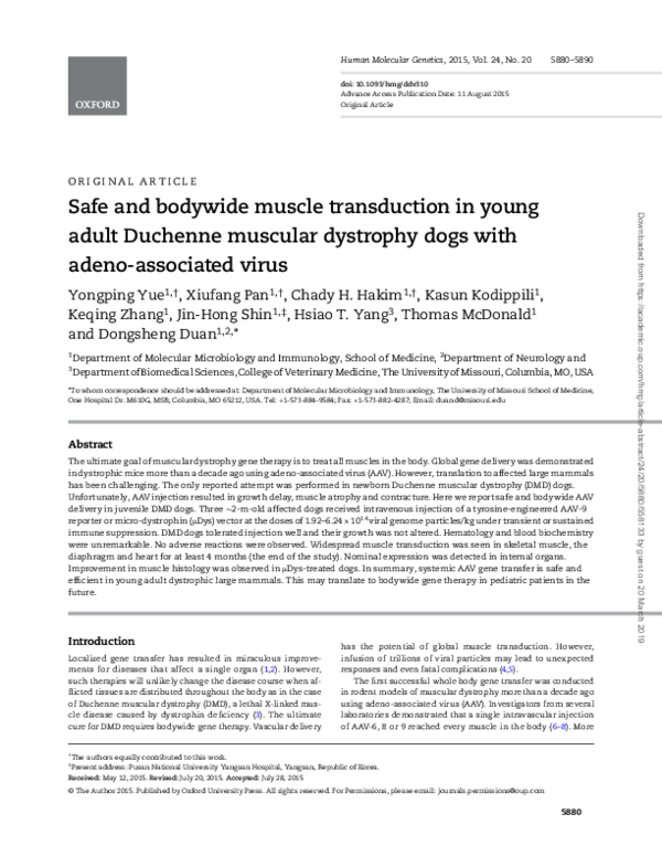 (PDF) Safe and bodywide muscle transduction in young adult Duchenne ...
