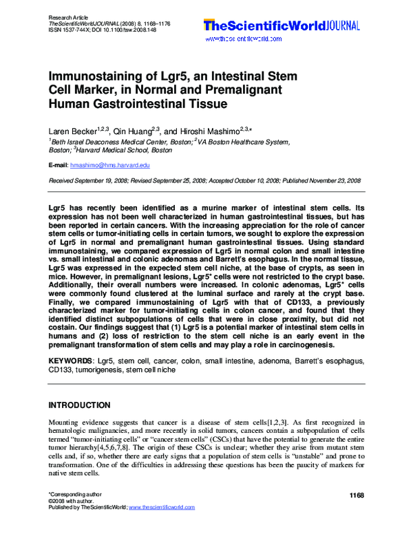 (PDF) Immunostaining of Lgr5, an intestinal stem cell marker, in normal ...