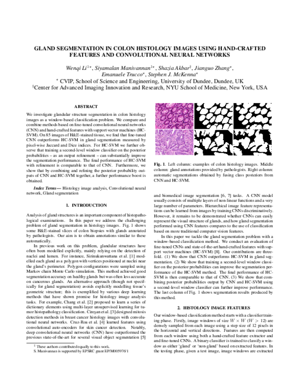 (PDF) Gland segmentation in colon histology images using hand-crafted features and convolutional ...