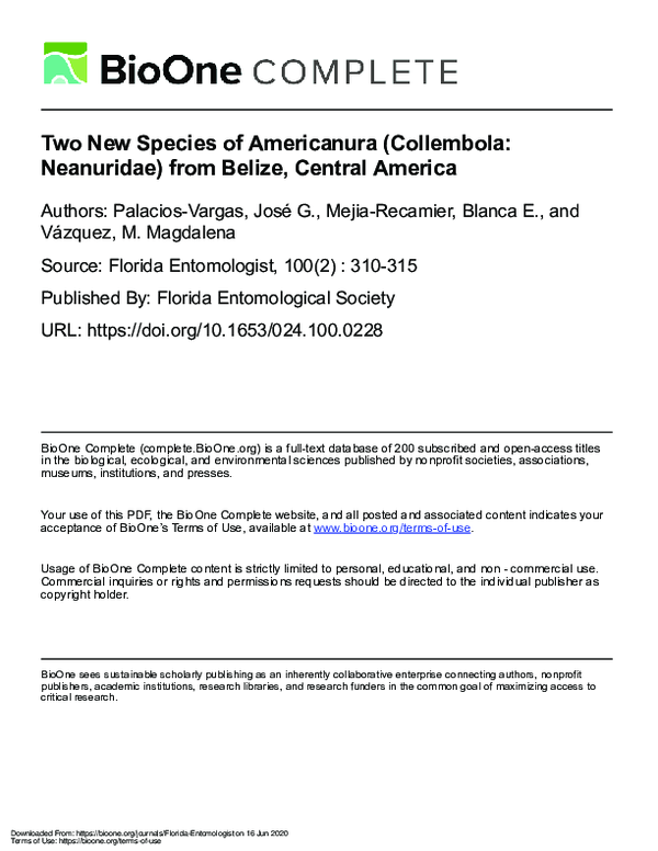 (PDF) Two New Species of Americanura (Collembola: Neanuridae) from ...