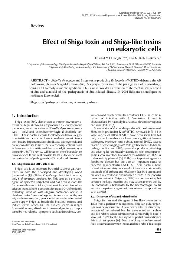 (PDF) Effect of Shiga toxin and Shiga-like toxins on eukaryotic cells