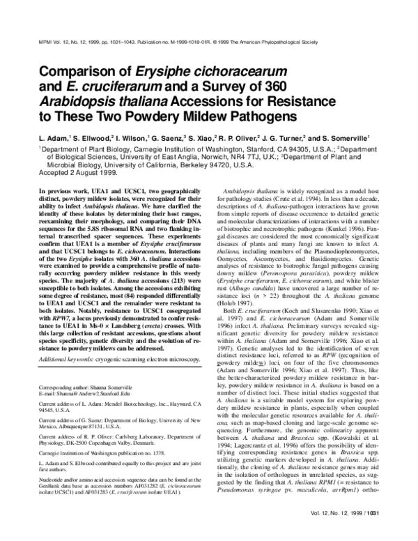 (PDF) Comparison of Erysiphe cichoracearum and E. cruciferarum and a ...