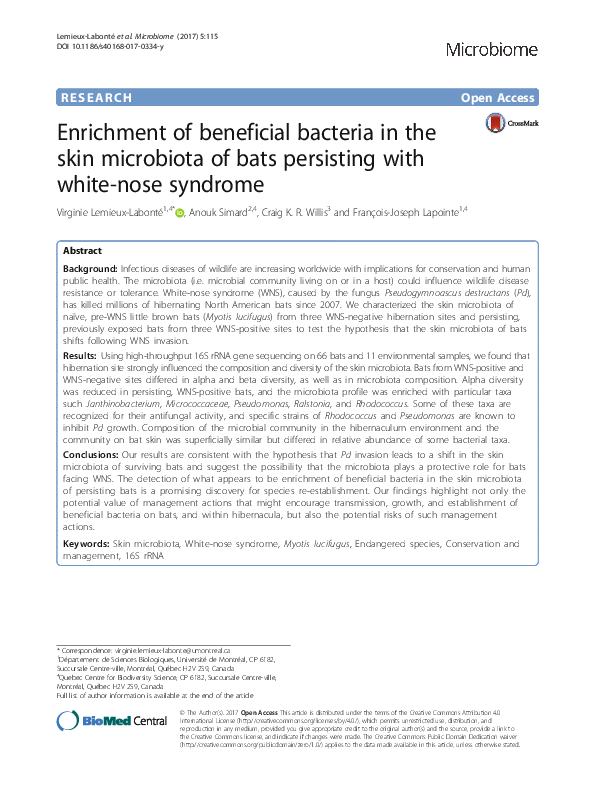 (PDF) Enrichment of beneficial bacteria in the skin microbiota of bats ...