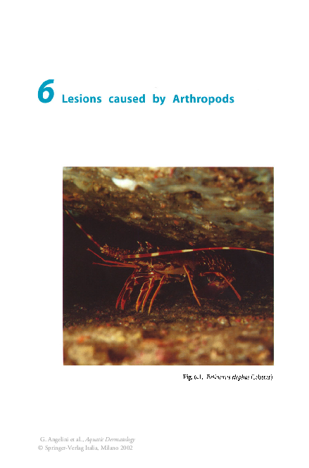 (PDF) Lesions caused by Arthropods
