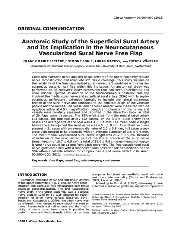 (PDF) Anatomic study of the superficial sural artery and its ...