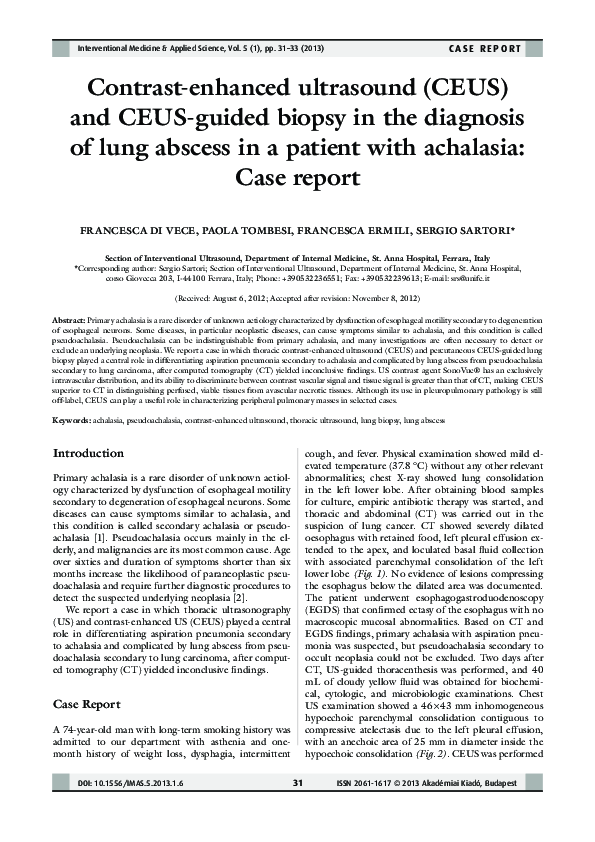 (PDF) Contrast-enhanced ultrasound (CEUS) and CEUS-guided biopsy in the ...