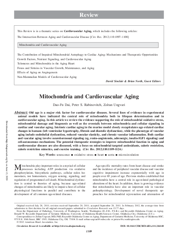 (PDF) Mitochondria and Cardiovascular Aging