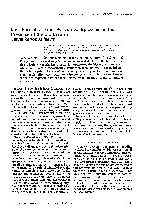(PDF) Lens formation from pericorneal epidermis in the presence of the ...