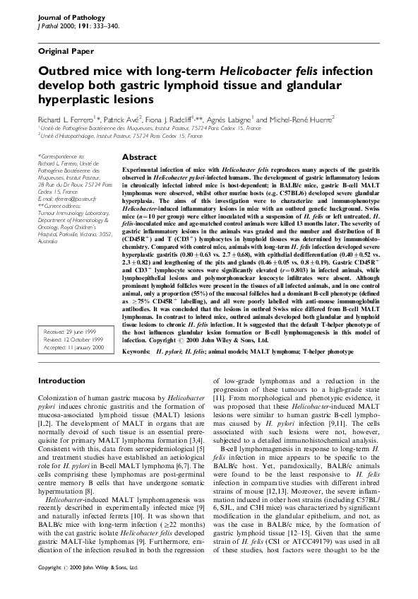 (PDF) Outbred mice with long‐term Helicobacter felis infection develop ...